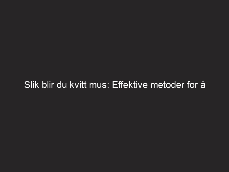 Slik blir du kvitt mus: Effektive metoder for å holde huset musfritt ...